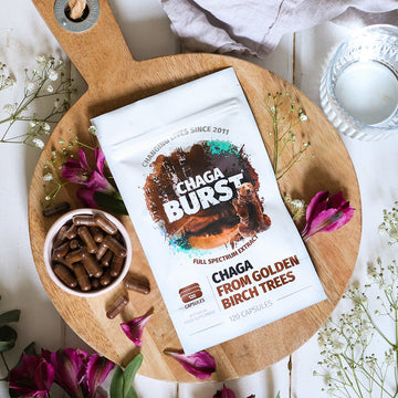 Chaga Full Spectrum Extract by Organic Burst®