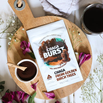 Chaga Full Spectrum Extract by Organic Burst®