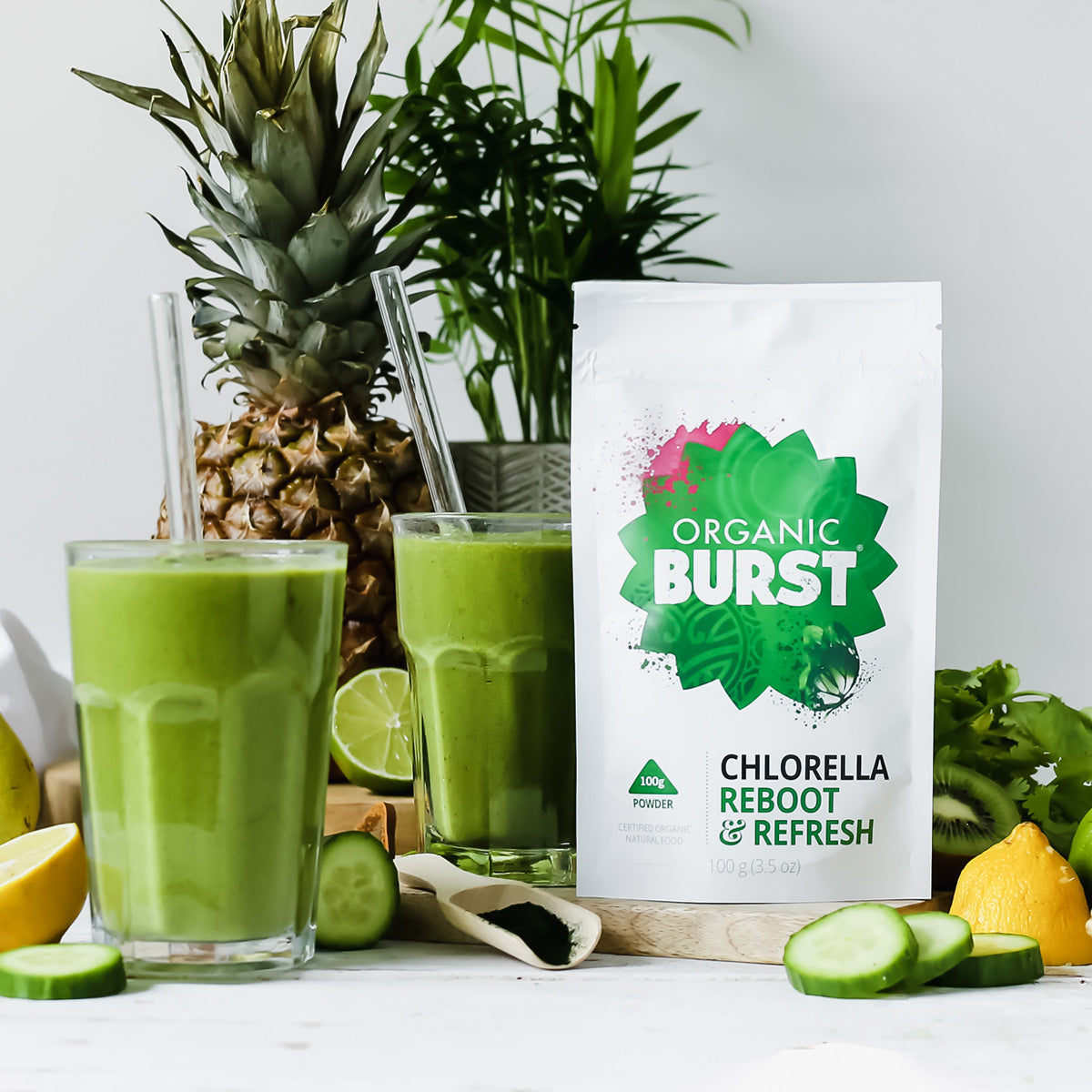 Chlorella by Organic Burst® - Tablets & Powder