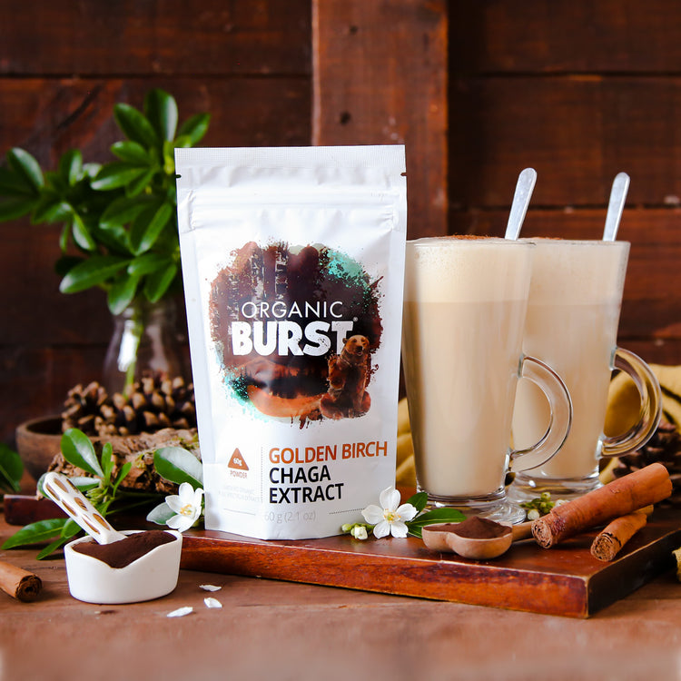 Chaga Full Spectrum Extract by Organic Burst®