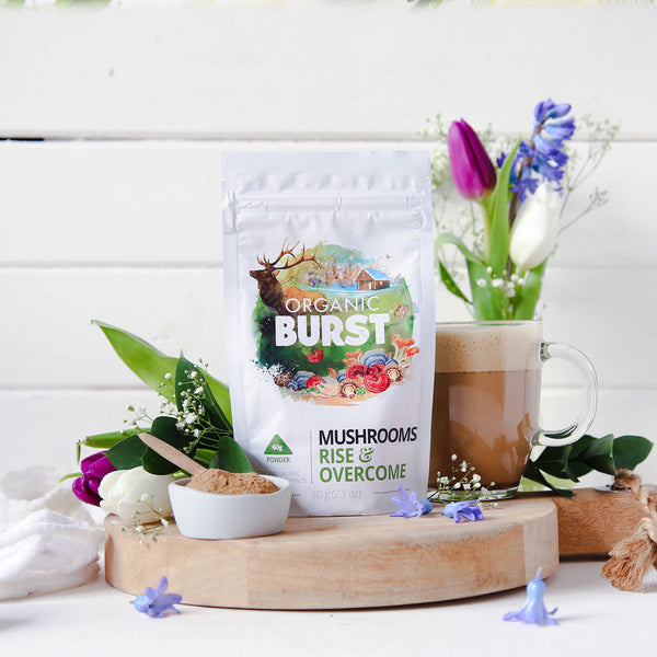 10 Mushroom Full Spectrum Extract by Organic Burst® - Capsules & Powder